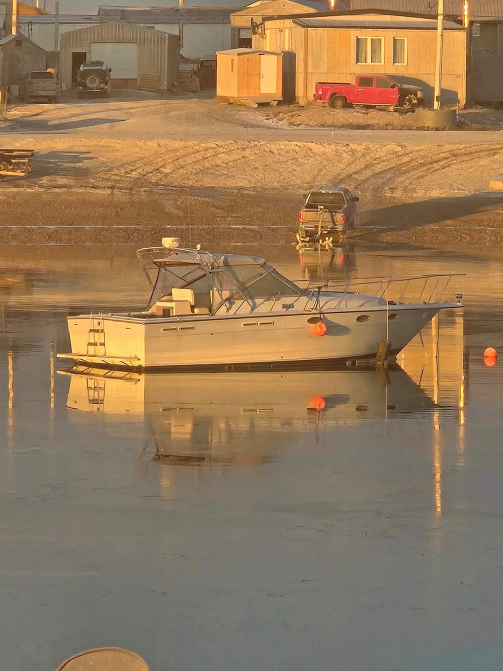Photo of the Week (POTW): Best time for Seals
